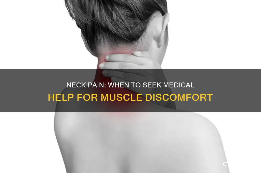 Neck Pain: When To Seek Medical Help For Muscle Discomfort | CyVigor