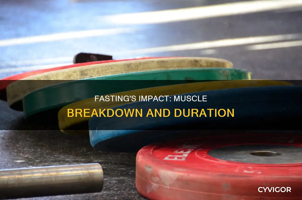 Fasting's Impact: Muscle Breakdown And Duration | CyVigor