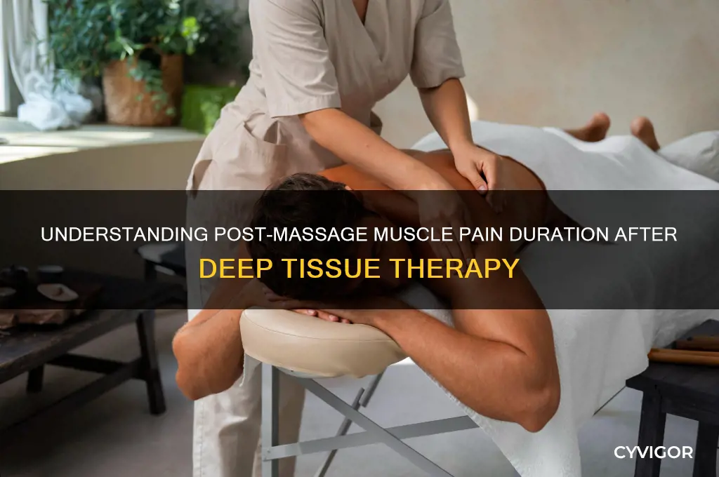 Understanding Post-Massage Muscle Pain Duration After Deep Tissue ...