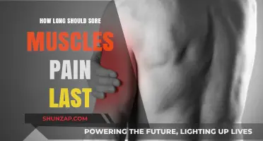 Aleve Muscle & Back Pain Relief: Duration And Effectiveness Explained ...