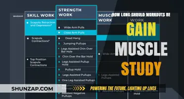 Gaining Weight And Muscle: Understanding The Timeline For Results | CyVigor