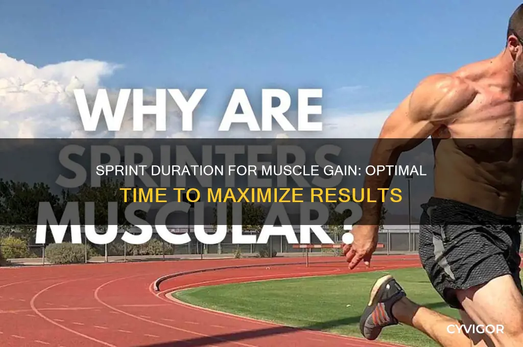 Sprint Duration For Muscle Gain: Optimal Time To Maximize Results | CyVigor