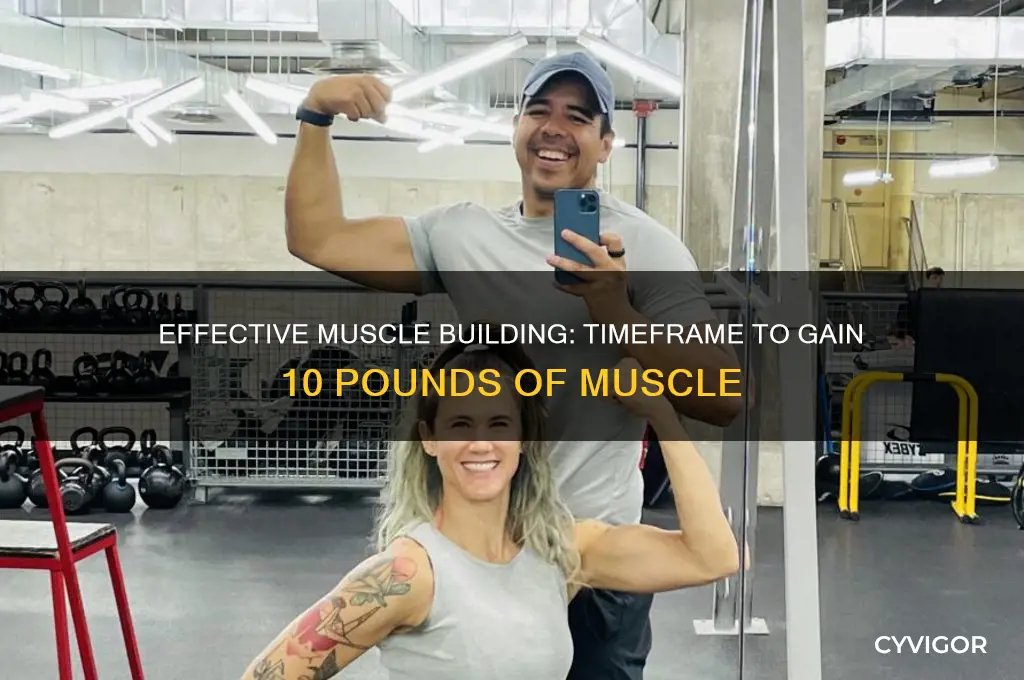 Effective Muscle Building: Timeframe To Gain 10 Pounds Of Muscle | CyVigor