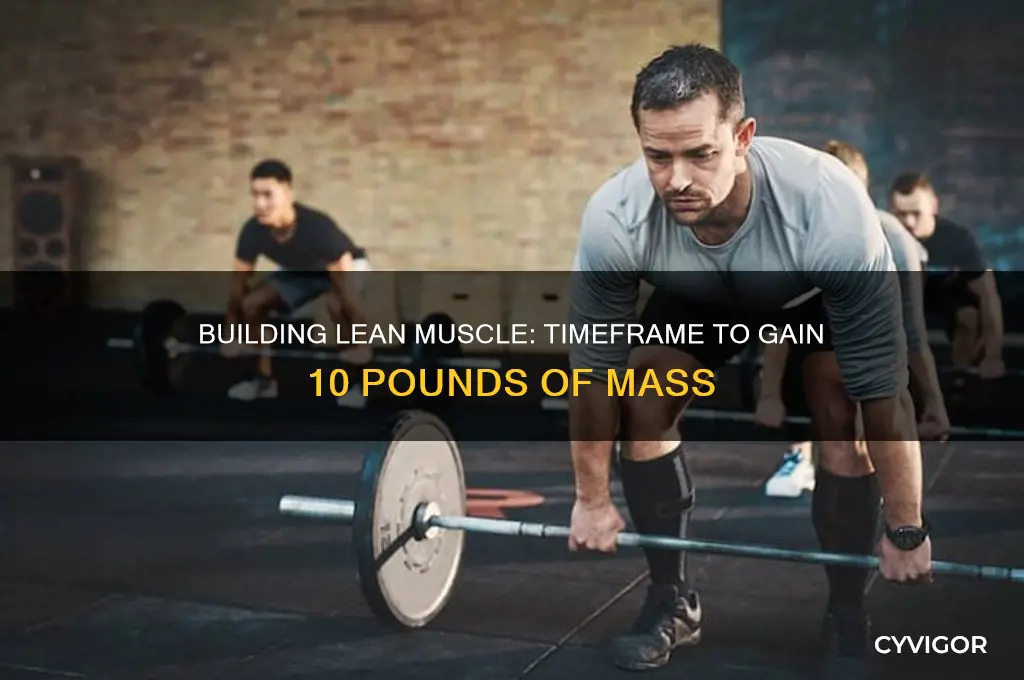Building Lean Muscle: Timeframe To Gain 10 Pounds Of Mass | CyVigor