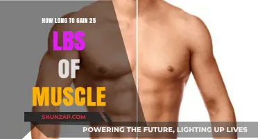 Optimal Arm Workout Duration For Effective Muscle Growth And Strength ...
