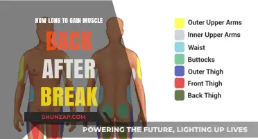 Recovering From Muscle Atrophy: Timeline For Rebuilding Strength And ...