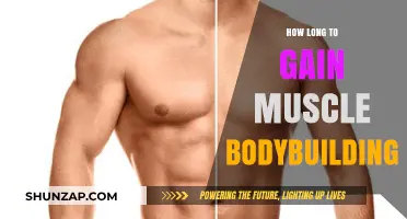 Newbie's Guide: Timeline For Visible Muscle Gains And Progress | CyVigor