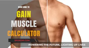 Regaining Muscle After A Break: Timelines And Effective Recovery ...