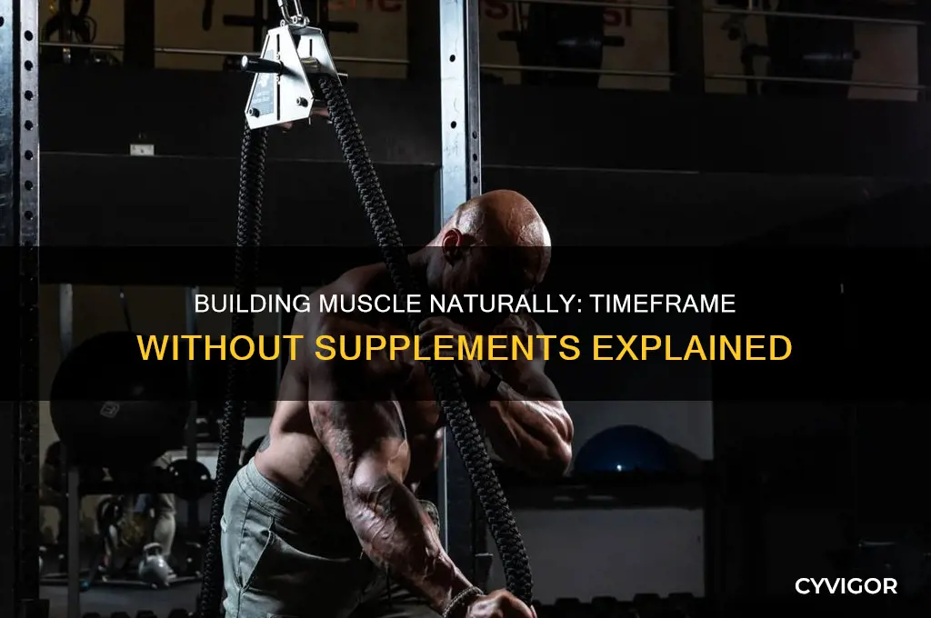 Building Muscle Naturally: Timeframe Without Supplements Explained ...