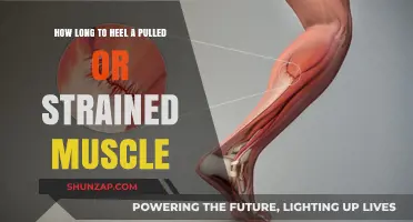 Healing Time For Pulled Forearm Muscles: What To Expect | CyVigor