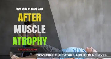 Regaining Muscle After A Break: Timelines And Effective Recovery ...
