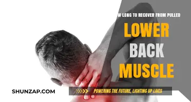 Pulled Neck Muscle Recovery Time: What To Expect And How To Heal | CyVigor