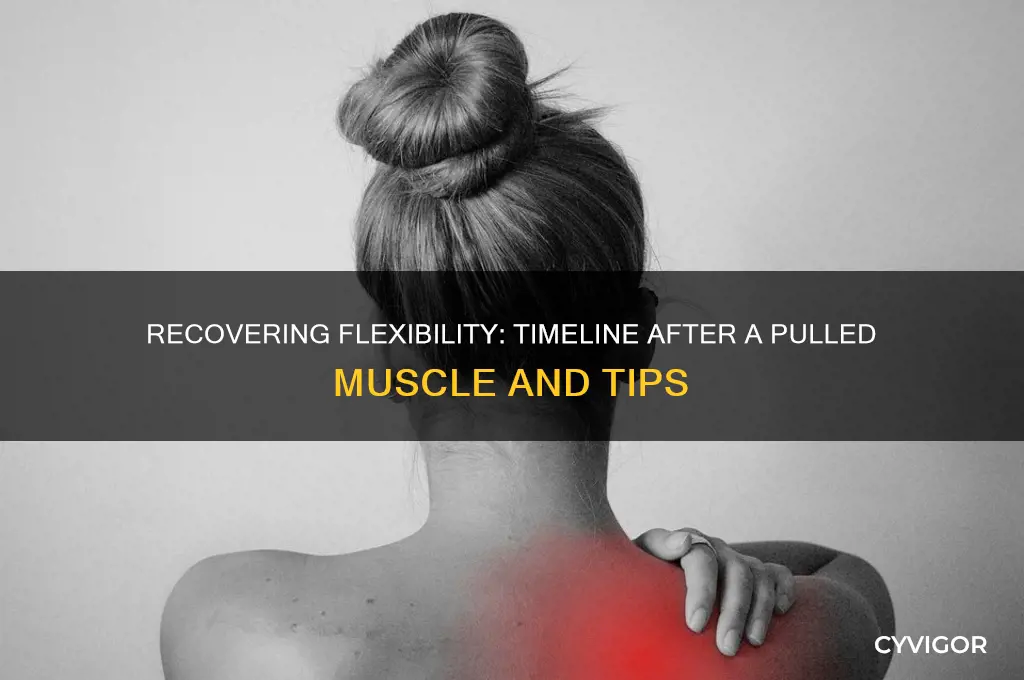 Recovering Flexibility: Timeline After A Pulled Muscle And Tips | CyVigor