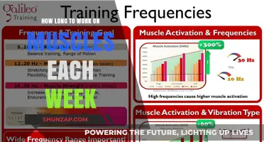 Optimal Muscle Workout Frequency: How Many Days Should You Train Weekly ...