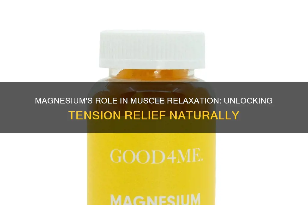 Magnesium's Role In Muscle Relaxation: Unlocking Tension Relief ...