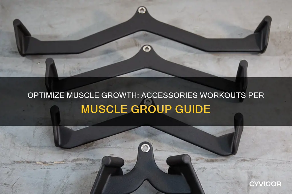 Optimize Muscle Growth: Accessories Workouts Per Muscle Group Guide ...