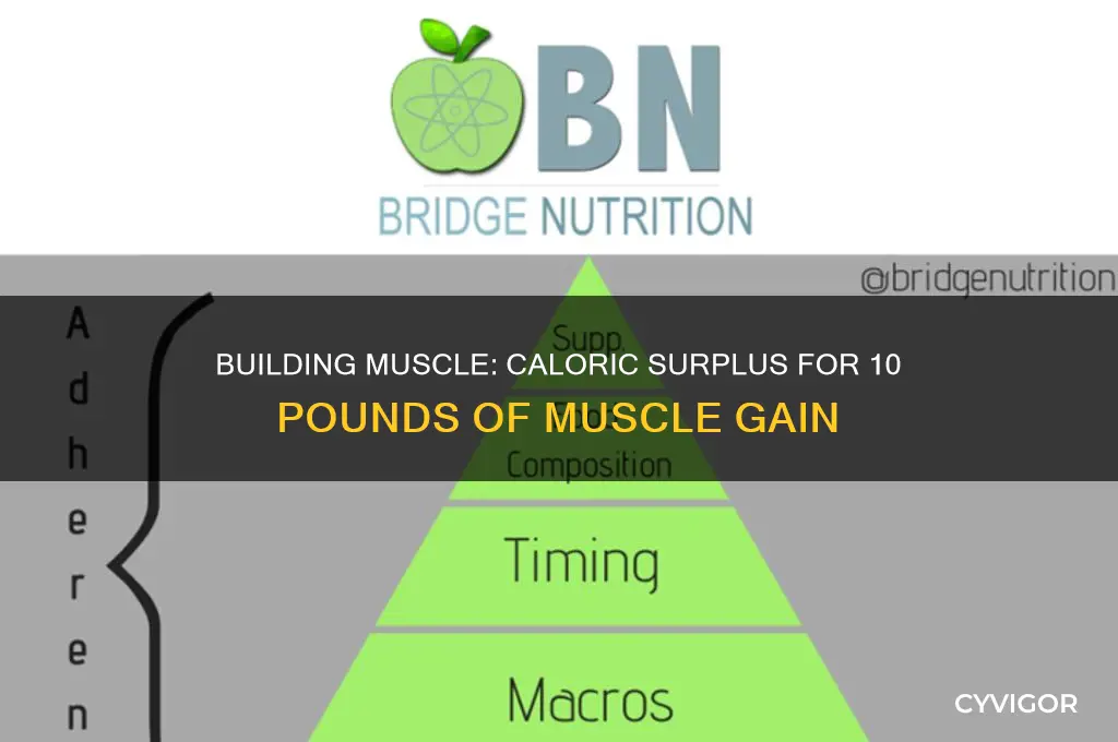 Building Muscle: Caloric Surplus For 10 Pounds Of Muscle Gain | CyVigor