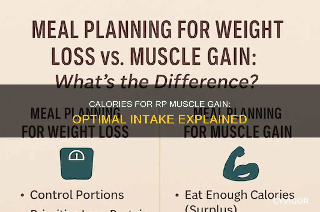 Calories For Rp Muscle Gain: Optimal Intake Explained | CyVigor