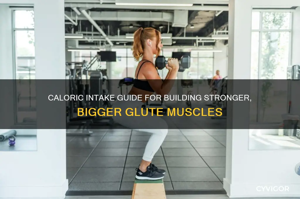 Caloric Intake Guide For Building Stronger, Bigger Glute Muscles | CyVigor
