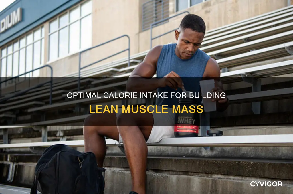 Optimal Calorie Intake For Building Lean Muscle Mass | CyVigor