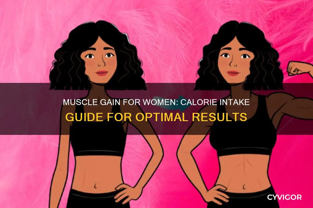 Muscle Gain For Women: Calorie Intake Guide For Optimal Results | CyVigor