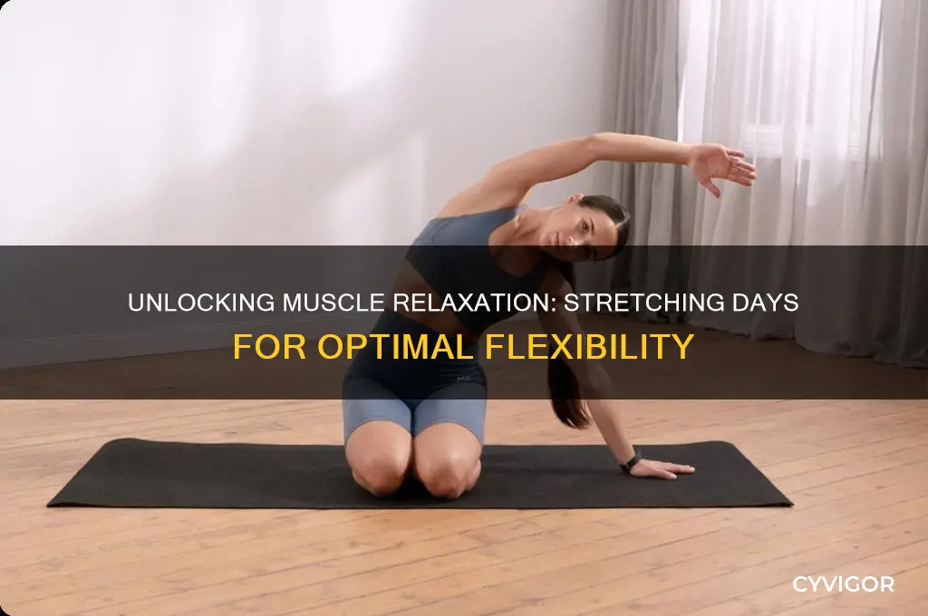 Unlocking Muscle Relaxation: Stretching Days For Optimal Flexibility ...