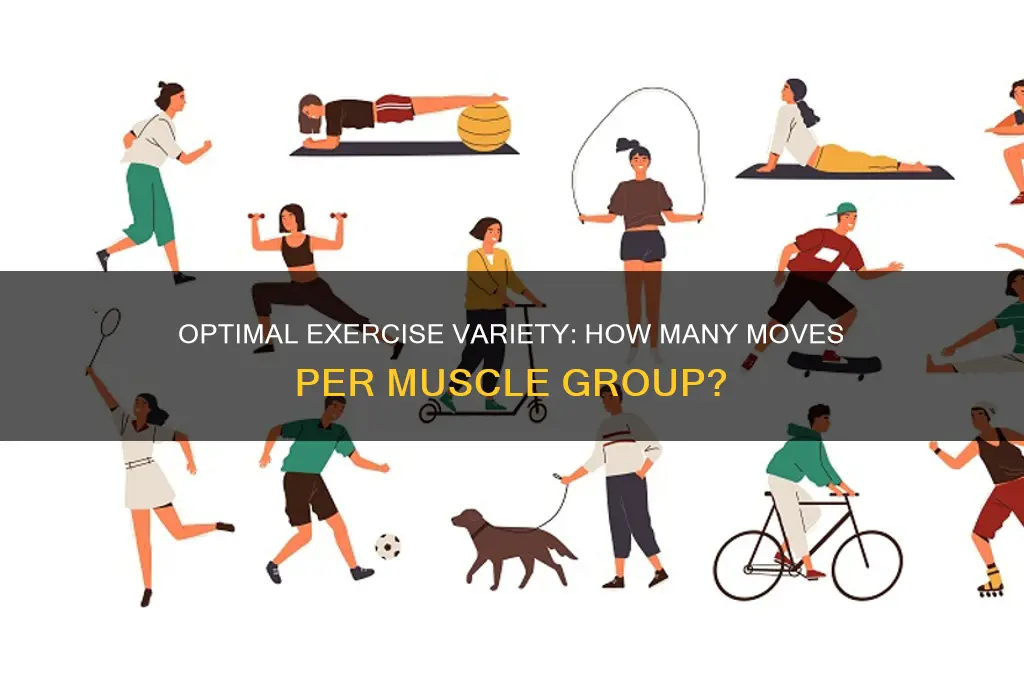 Optimal Exercise Variety: How Many Moves Per Muscle Group? | CyVigor