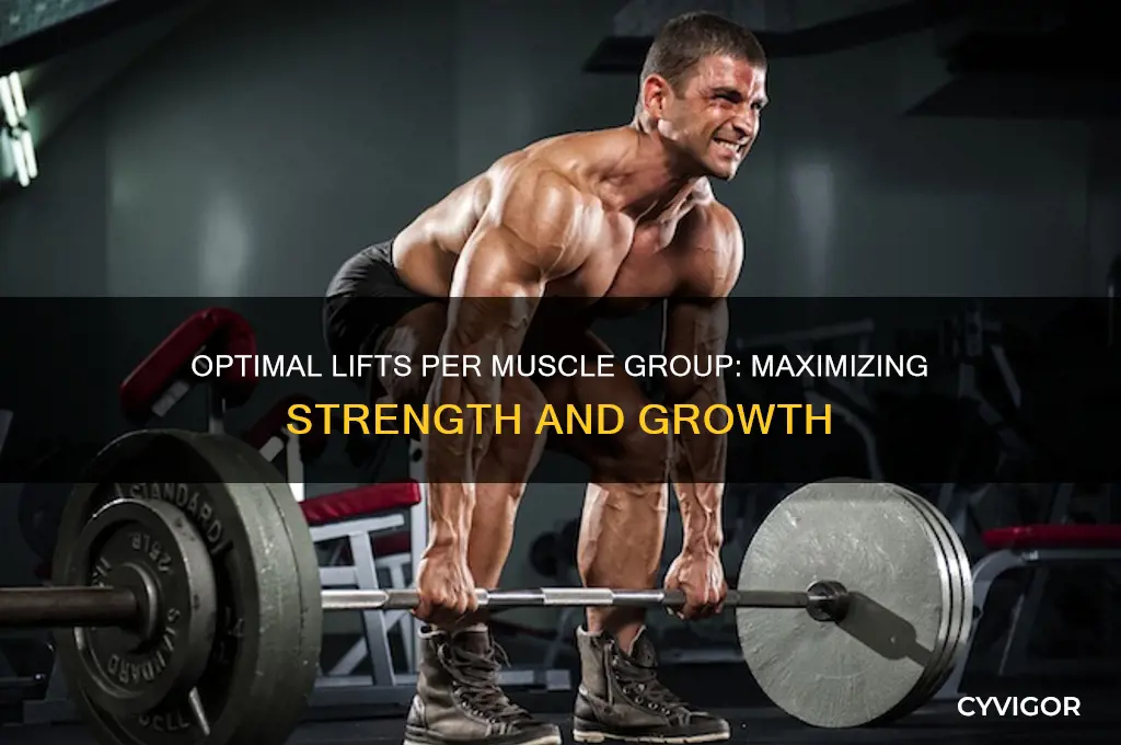 Optimal Lifts Per Muscle Group: Maximizing Strength And Growth | CyVigor