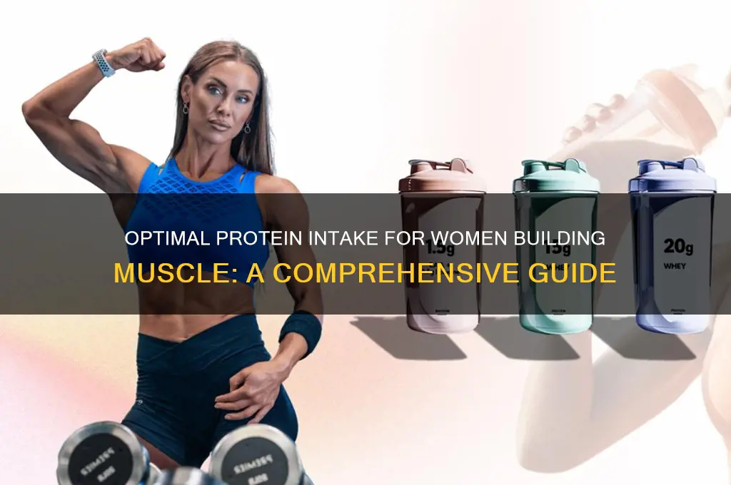Optimal Protein Intake For Women Building Muscle: A Comprehensive Guide ...