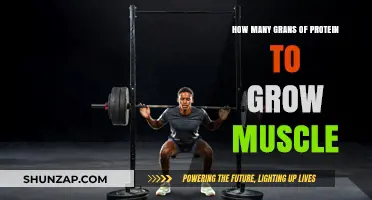 Optimal Rep Ranges For Muscle Growth: Building Strength And Size | CyVigor