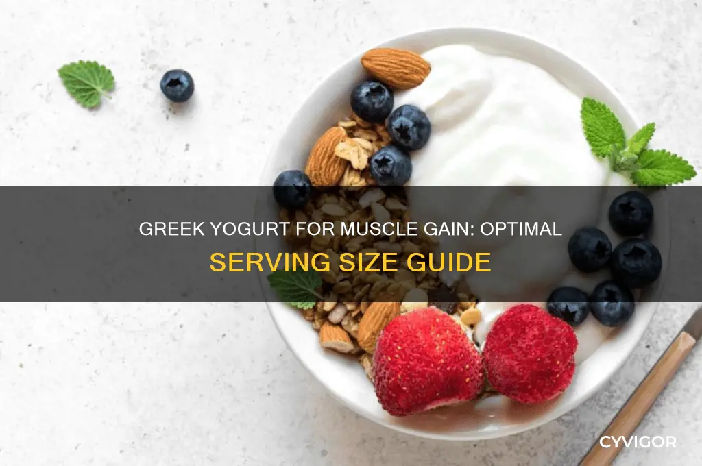 Greek Yogurt For Muscle Gain: Optimal Serving Size Guide | CyVigor
