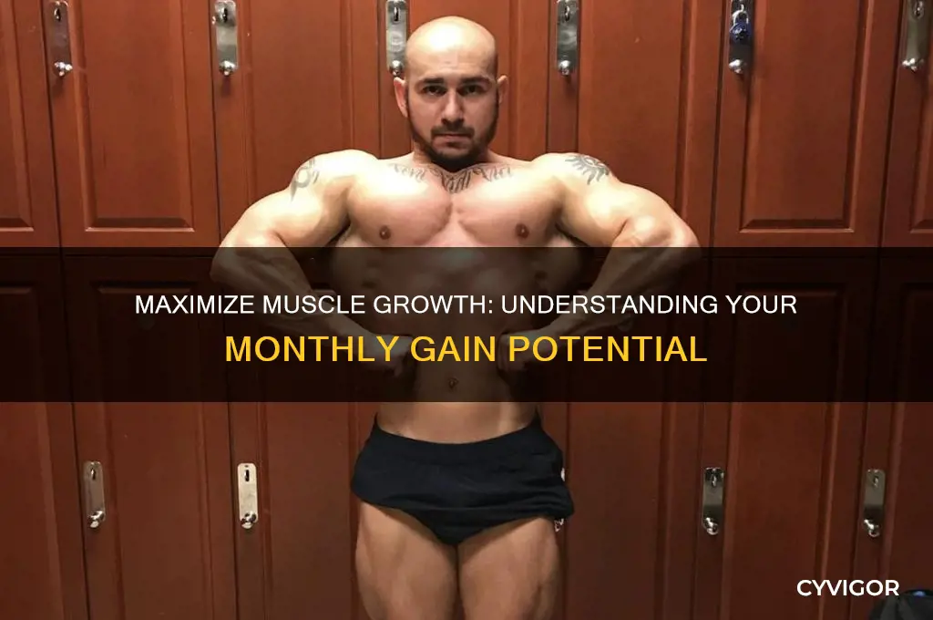 Maximize Muscle Growth: Understanding Your Monthly Gain Potential | CyVigor