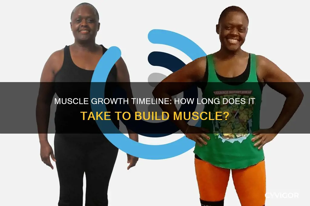 Muscle Growth Timeline: How Long Does It Take To Build Muscle? | CyVigor