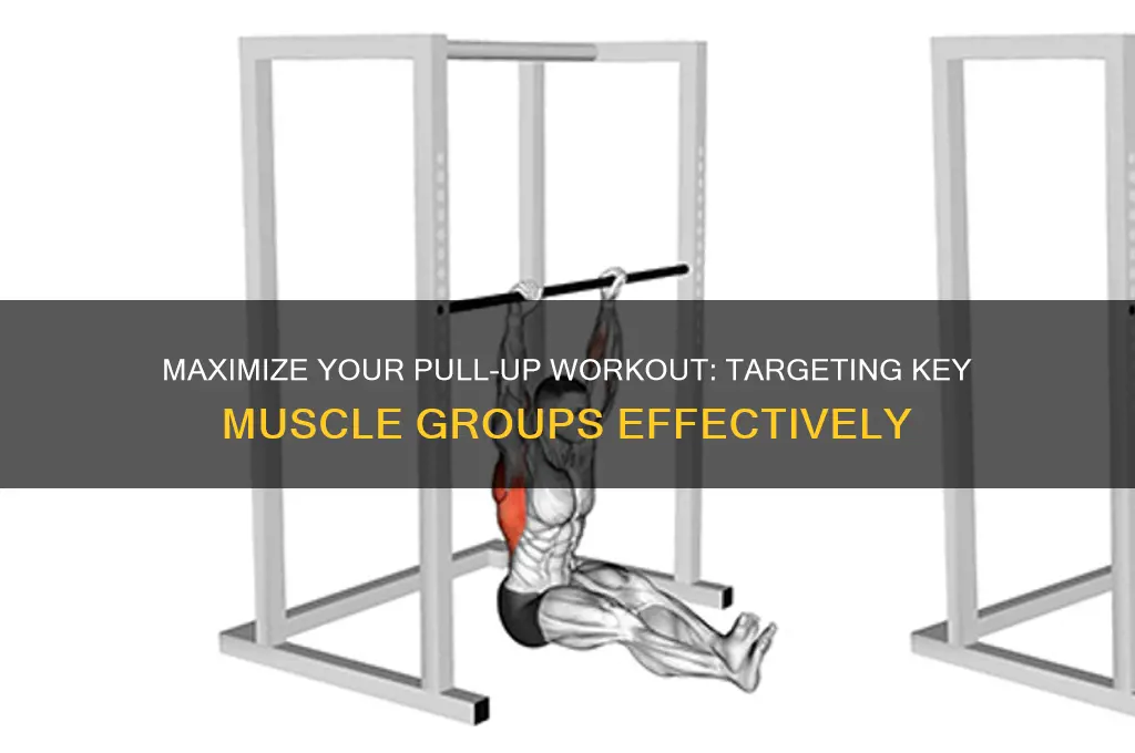 Maximize Your Pull-Up Workout: Targeting Key Muscle Groups Effectively ...