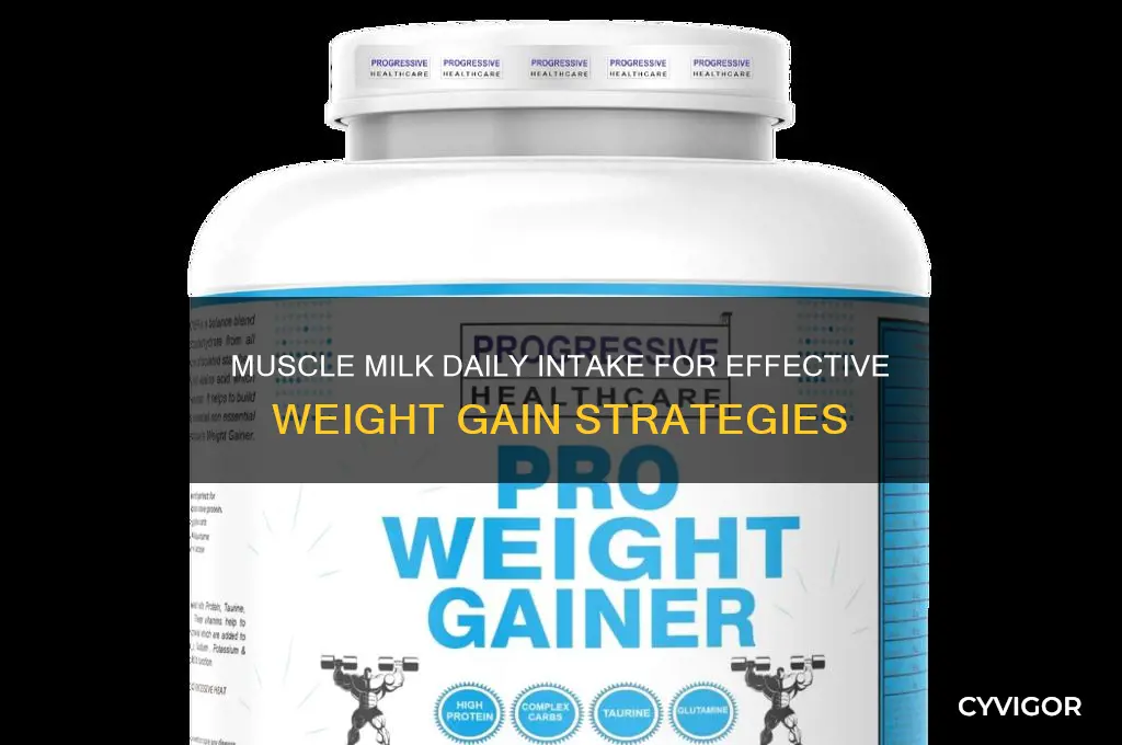 Muscle Milk Daily Intake For Effective Weight Gain Strategies | CyVigor
