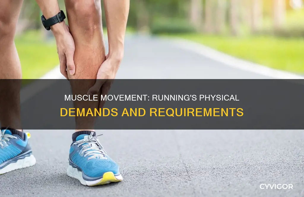 Muscle Movement: Running's Physical Demands And Requirements | CyVigor