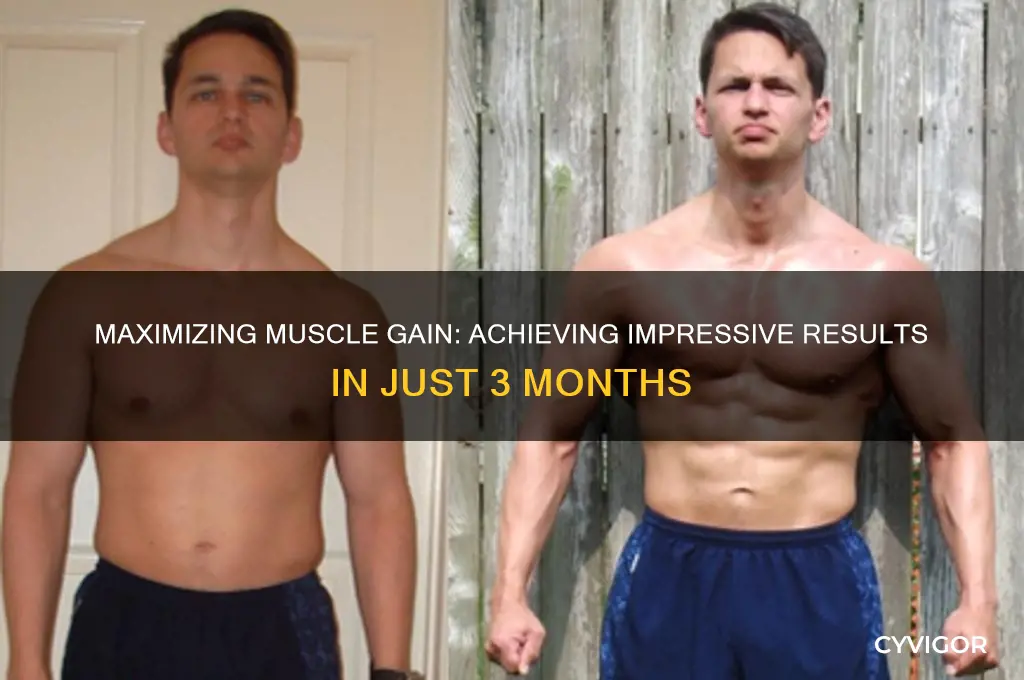 Maximizing Muscle Gain: Achieving Impressive Results In Just 3 Months ...