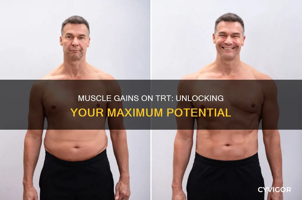 Muscle Gains On Trt: Unlocking Your Maximum Potential | CyVigor