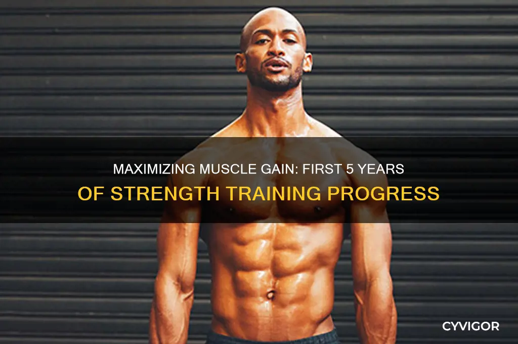 Maximizing Muscle Gain: First 5 Years Of Strength Training Progress ...