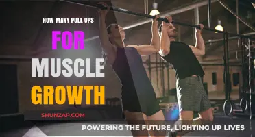 Rectus Femoris Muscle Pull Recovery Time: What To Expect | CyVigor