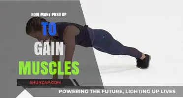 Effective Push-Up Sets For Building Muscle: A Comprehensive Guide | CyVigor