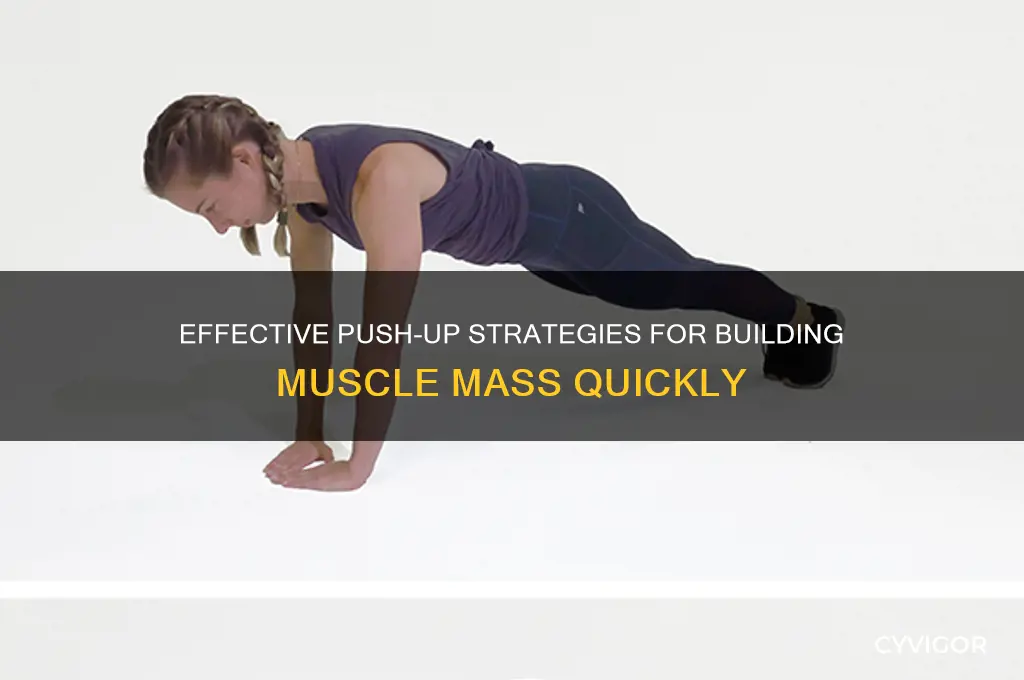Effective Push-Up Strategies For Building Muscle Mass Quickly | CyVigor