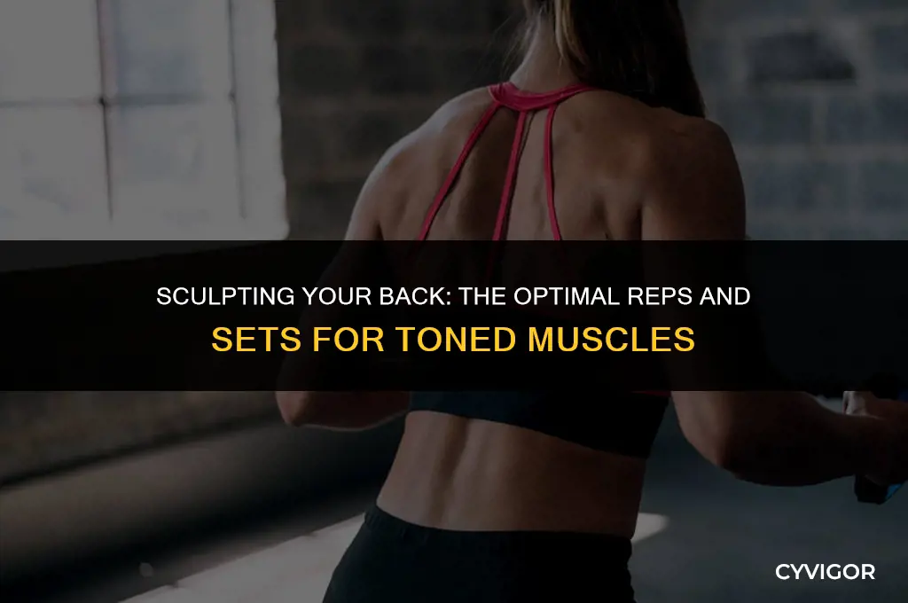 Sculpting Your Back: The Optimal Reps And Sets For Toned Muscles | CyVigor