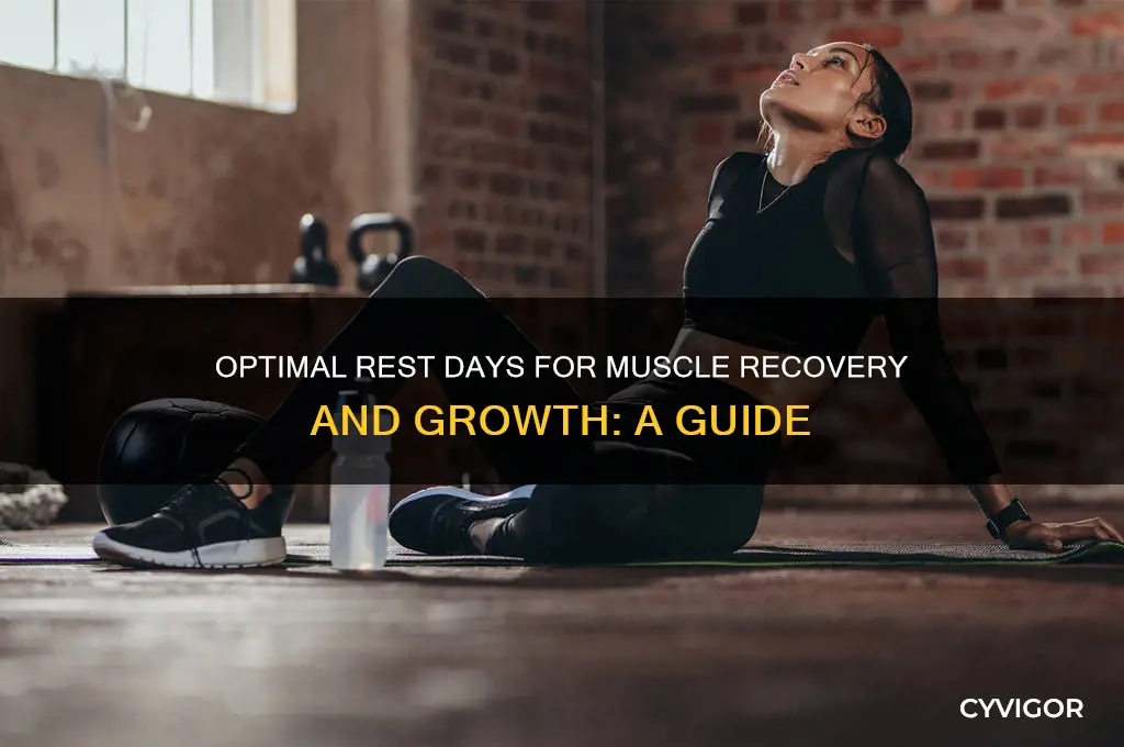 Optimal Rest Days For Muscle Recovery And Growth: A Guide | CyVigor