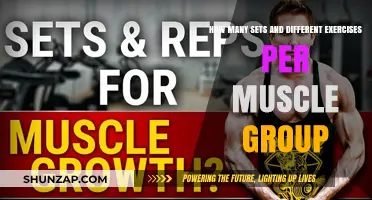 Understanding The Chest's Muscle Groups: A Comprehensive Breakdown ...