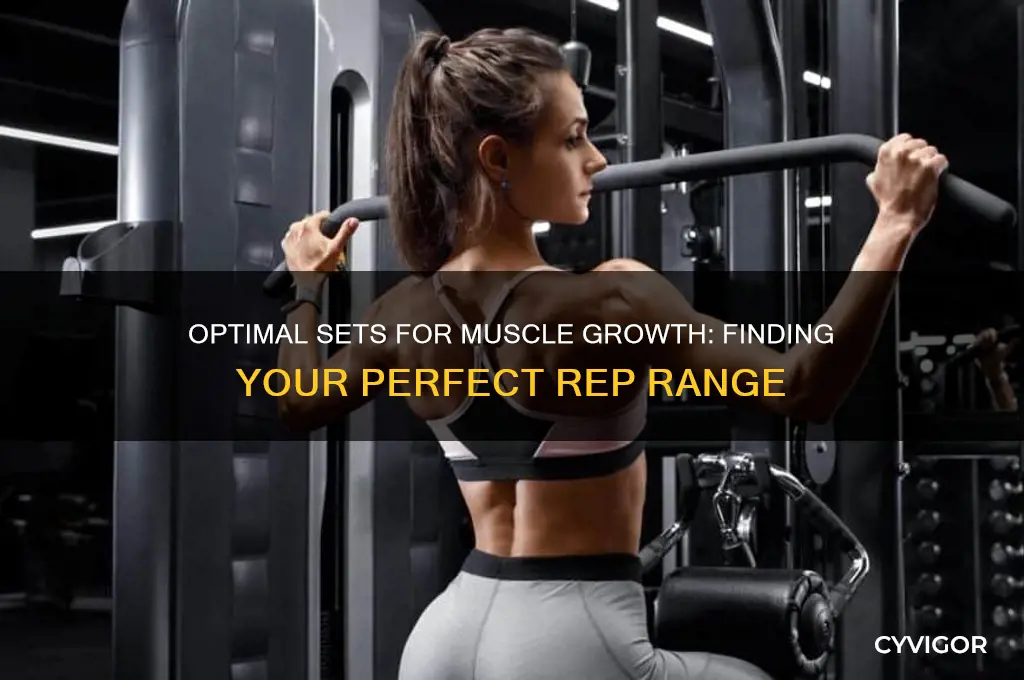 Optimal Sets For Muscle Growth: Finding Your Perfect Rep Range | CyVigor