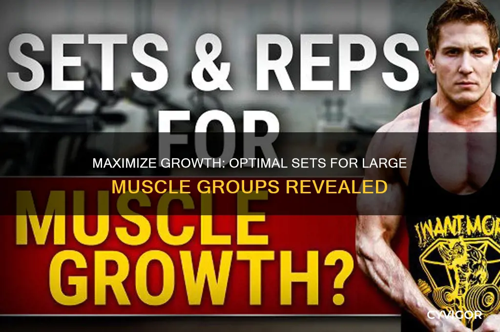 Maximize Growth: Optimal Sets For Large Muscle Groups Revealed | CyVigor
