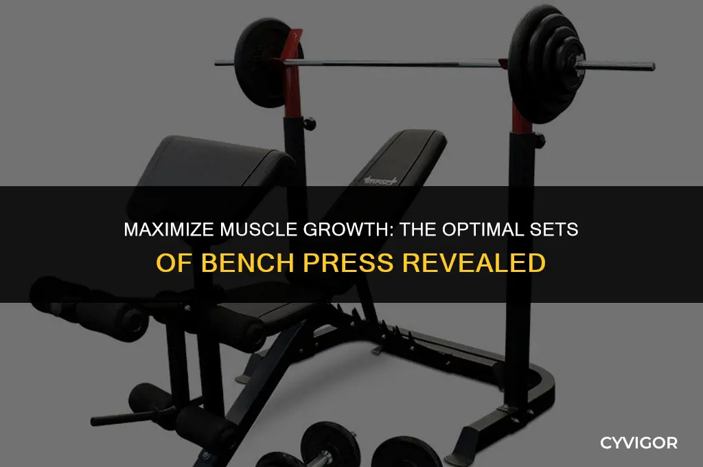Maximize Muscle Growth: The Optimal Sets Of Bench Press Revealed | CyVigor
