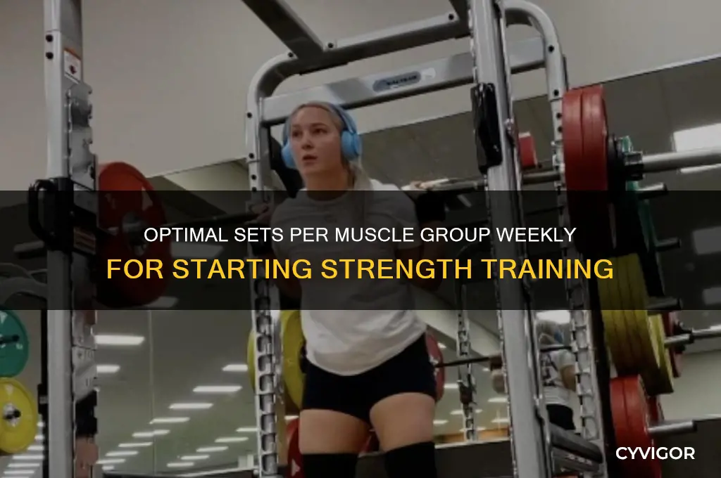 Optimal Sets Per Muscle Group Weekly For Starting Strength Training ...