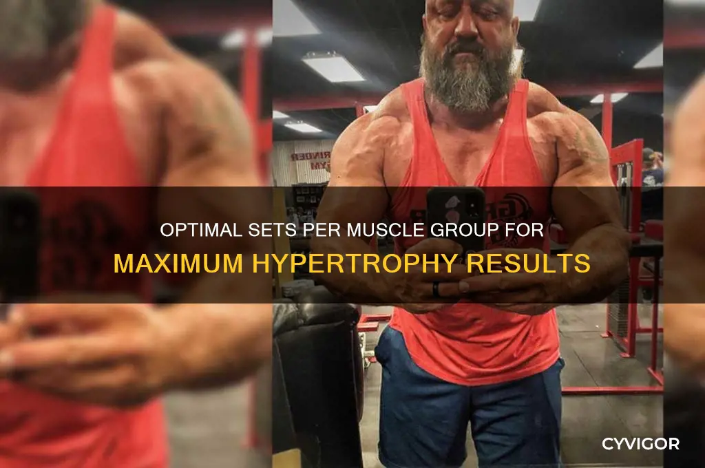 Optimal Sets Per Muscle Group For Maximum Hypertrophy Results | CyVigor